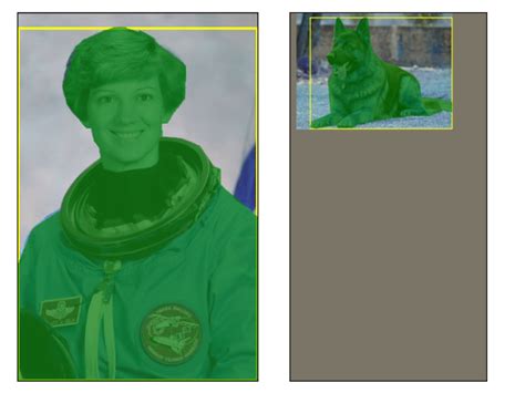 Transforms V2 End To End Object Detectionsegmentation Example — Torchvision Main Documentation