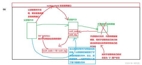 linux进程控制（二） 进程等待 一） linux进程控制2 csdn博客