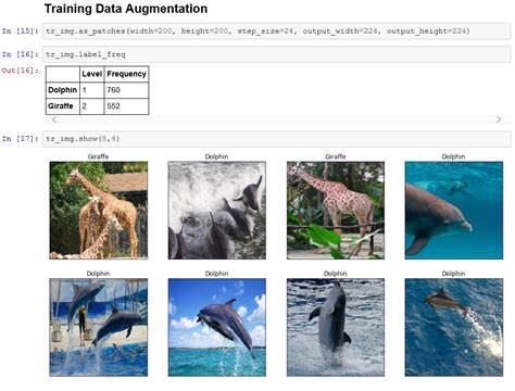 Sas Viya Package For Python Api For Deep Learning And Image Processing Dlpy Proc