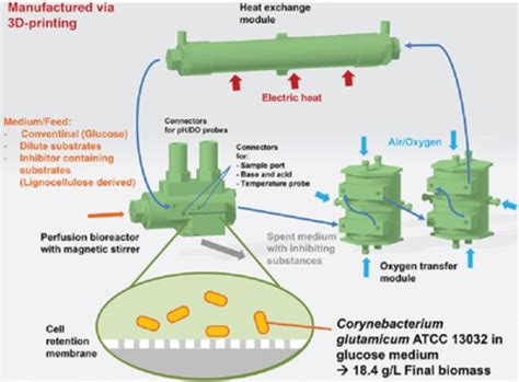 Martin Smyth Phd On Linkedin Design And Evaluation Of A 3d Printed Lab Scale Perfusion