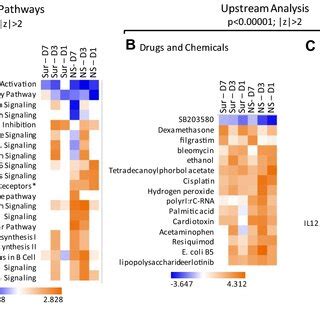 IPA Comparison Analysis Predicted Canonical Functions And Pathways Download Scientific Diagram