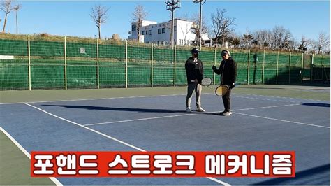 테니스 포핸드 스트로크 메커니즘 Youtube