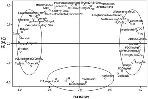 Pca Loading Plot P 1 Vs P 2 For The First And Second Principal