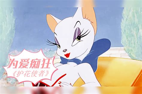 猫和老鼠：金曲《护花使者》动感来袭，汤姆杰瑞演绎为爱痴狂来袭动感汤姆杰瑞