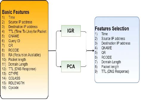 Figure 1 From Botnets Detecting Attack Based On Dns Features Semantic