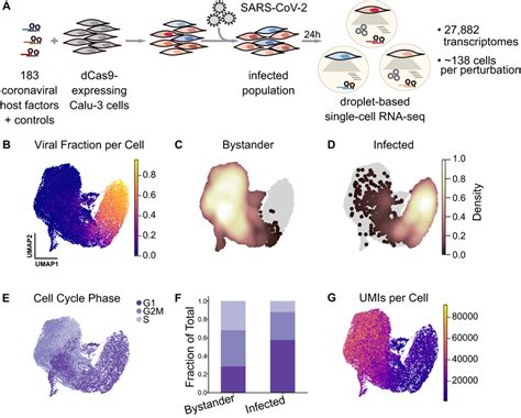 Perturb Seq Crop Seq