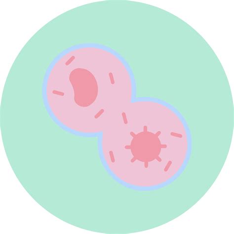 Mitosis Vector Icon 20259269 Vector Art At Vecteezy