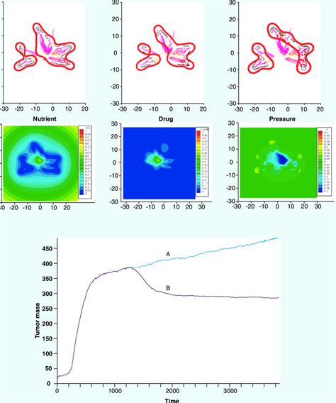 Computer Simulation Of Response To Chemotherapy Top Three Frames Show