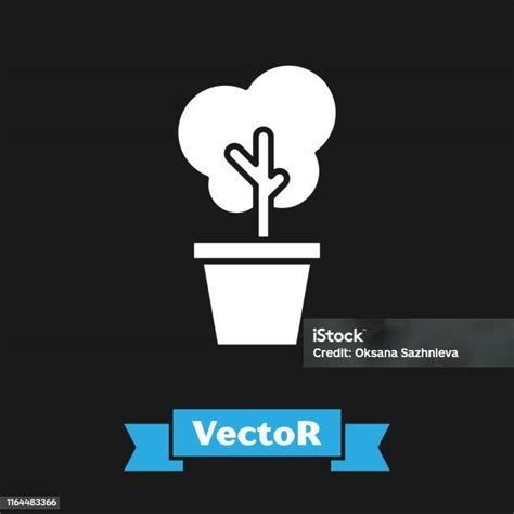 검은 색 배경에 고립 냄비 아이콘의 흰색 나무입니다 냄비에 하우스 플랜트 집과 인테리어를위한 자연 장식 화분에 심은 식물 표지판 벡터 일러스트레이션 0명에 대한 스톡 벡터