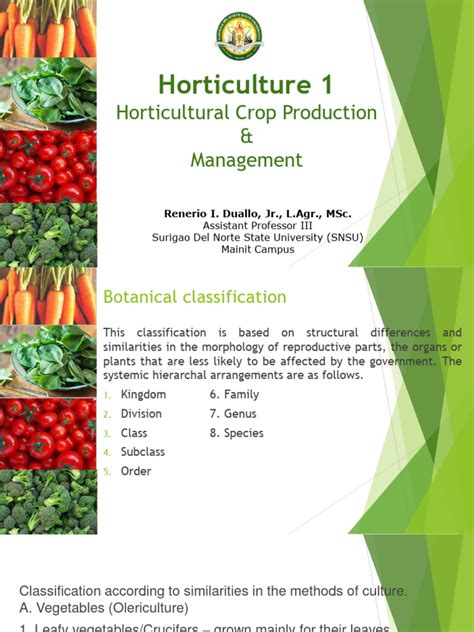 Botanical Classification Pdf Legume Broccoli