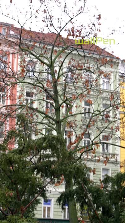 Wallpen Gmbh On Linkedin Wallpen Wallart Outdoor Streetart Design Prague