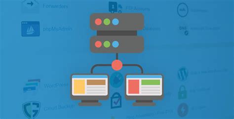 Полное руководство по Dns в Wordpress
