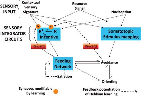 A Model Of The Relations Regulating Decisions About Approach Avoidance