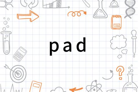 pad 英语单词 搜狗百科