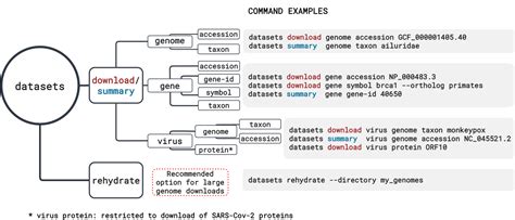 Download Assembled Genome Data Programmatically With Ncbi Datasets Ncbi Insights