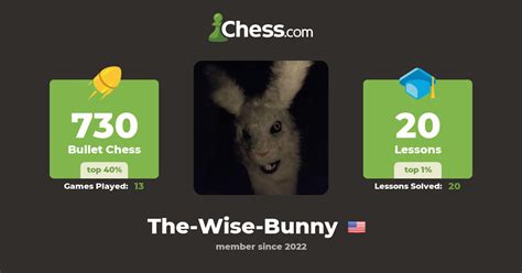 The Wise Bunny Chess Profile