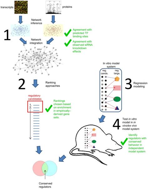 Step Network Inference Network Relationships Are Reconstructed From Download Scientific
