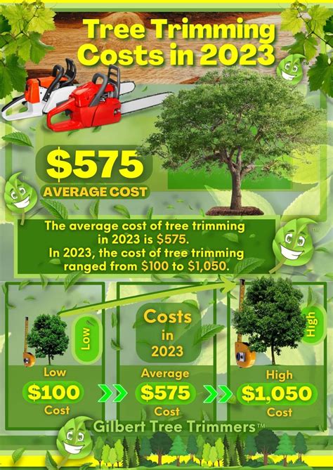 Tree Trimmers Gilbert AZ Tree Service Gilbert Arizona