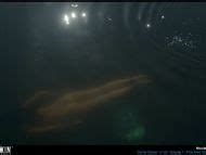 Naked Nicole Da Silva In Doctor Doctor Naked Nicole Da Silva In Doctor Doctor