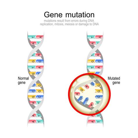 14300 Genetic Mutation Stock Illustrations Royalty Free Vector