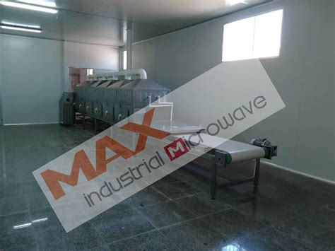 Max Industrial Microwave Microwave Drying Influence