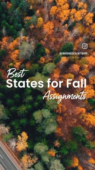 Amare Medical Network On Linkedin Best States For Fall Assignments Amare Medical Network On Linkedin Best States For Fall Assignments