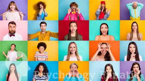 Exploring The Two Factor Theory Of Emotion By Schachter And Singer