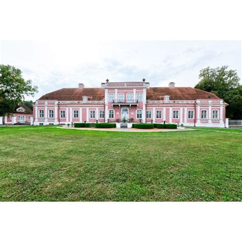 How To Become A Roxy Model Synonym