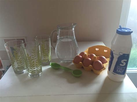 Floating Egg Science Experiment