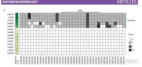 跟着nature Microbiology学作图：r语言ggplot2做黑白格的热图 知乎