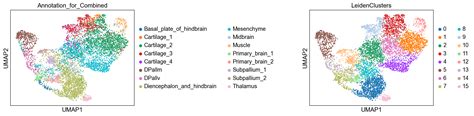 Tutorial 7 Multi Sample Integration Of Spatial Rna Atac Co Profiling