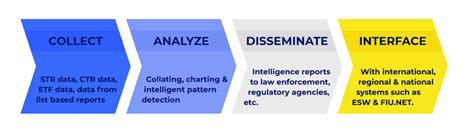 Goaml A Critical Tool In Global Aml Compliance Amlyze