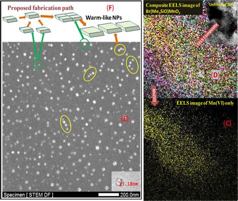 Stem Imaging Eels Elemental Mapping And Proposed Path Of
