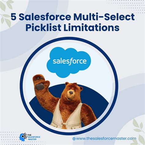 Thesalesforcemaster Salesforce Salesforcelimitations Salesforceactivity Salesforcepartner