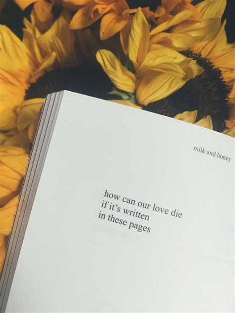 Book Pages Tumblr