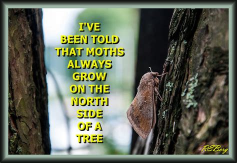 Direction Detection A Bergs Eye View