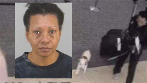 Python Dna Found In Central Florida Waterway Heres What That Means