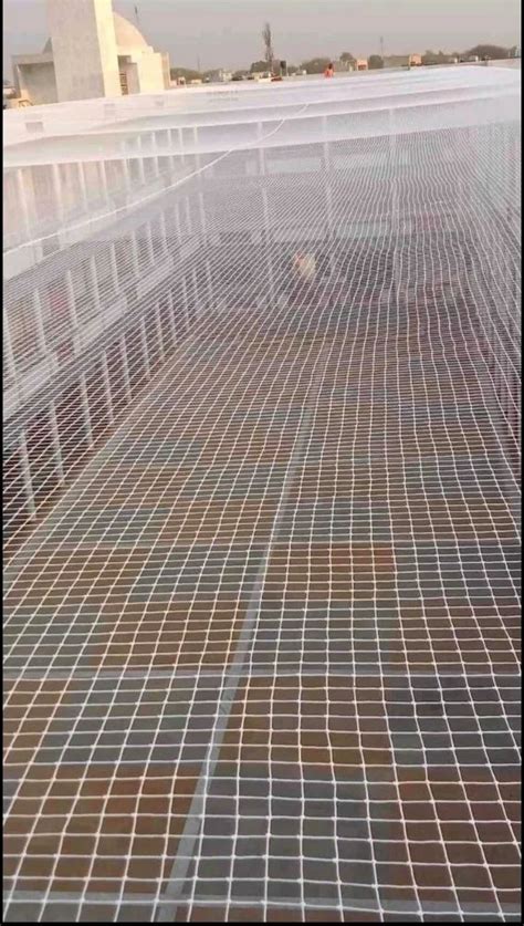 Bird Net Bird Net For Balcony Wholesaler From Ahmedabad