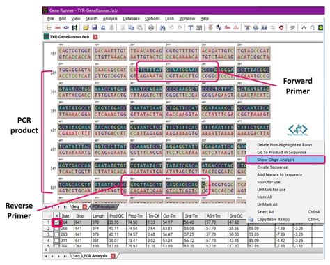 Gene Runner آموزش طراحی پرایمر و دانلود نرم‌افزار گروه بیوانفورماتیک وانیار