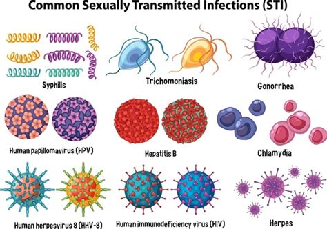 Cartoon Std Over 198 Royalty Free Licensable Stock Vectors And Vector