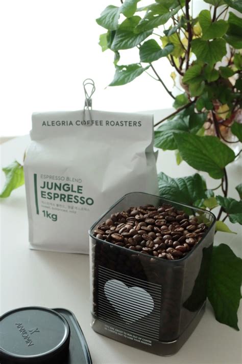 알레그리아 커피로스터스 정글 에스프레소 블렌드 홈카페 원두 추천 아이스라떼 만들기 네이버 블로그