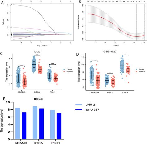 A Lasso Coefficient Profiles B Candidate Basement Membrane Related Download Scientific Diagram