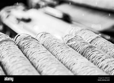 The Cotton Thread Spool On A Weft Assembly Line Loom For Textiles Stock