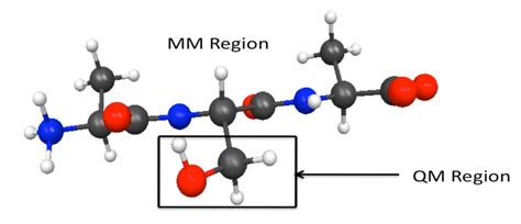 Regions Involved In Qm Mm Calculation Of Tripeptide Alanine Serine Alanine Download Scientific