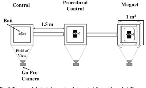 Figure 1 From Reprint Of “a Large Scale Field Analysis Examining The