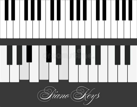 Piano Keys Template Stock Vector Illustration Of Website 255812853