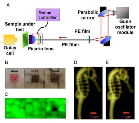 A Color Online Schematic Diagram Of Subwavelength Fiber Scanned Mmw Download Scientific