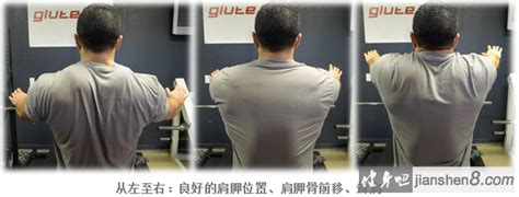 肩胛骨的内旋和外旋图 正常人的肩胛骨图 肩胛骨的准确位置图 第3页 大山谷图库