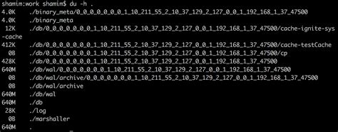 The Apache Ignite Native Persistence A Brief Overview