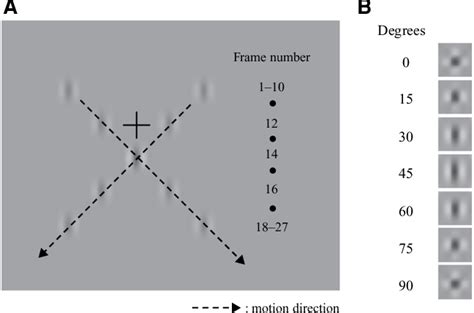 A Schematic Representation Of The Motion Sequence Used In Experiment Download Scientific